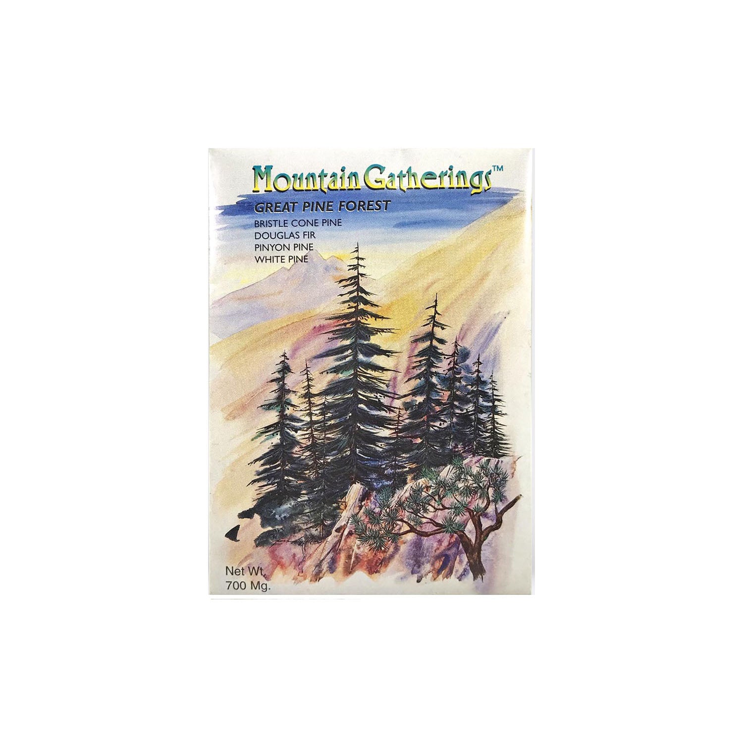 Pine Tree Seed Packet – The Desert Boutique